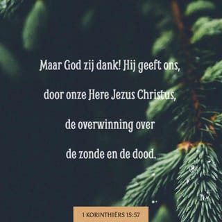 OPSTANDING SONDAG PREEK - MY NUWE LEWE IN CHRISTUS - Obe Phillips